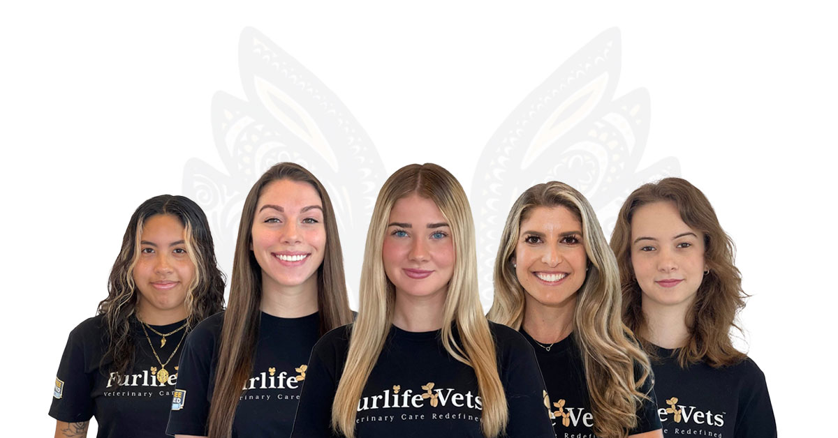FurlifeVets Team | Support Staff